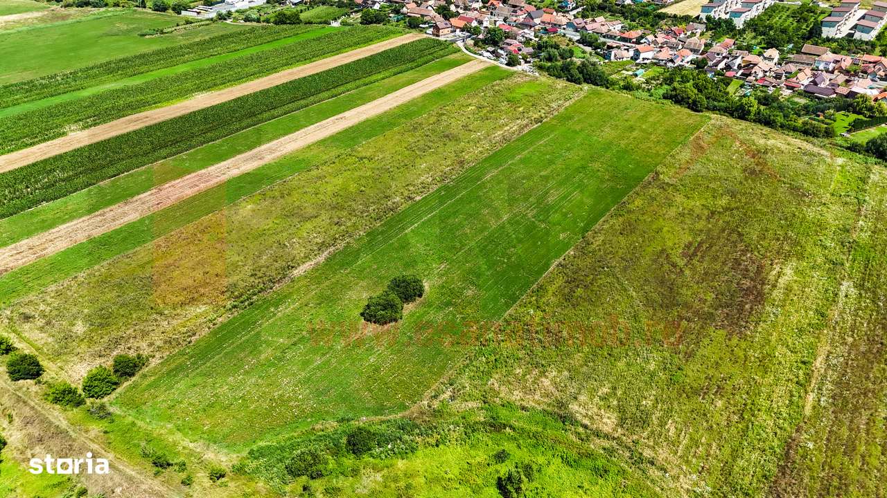 3 343 m², teren de vanzare - Sibiu (judet), Gusterita - 9934444 • www ...