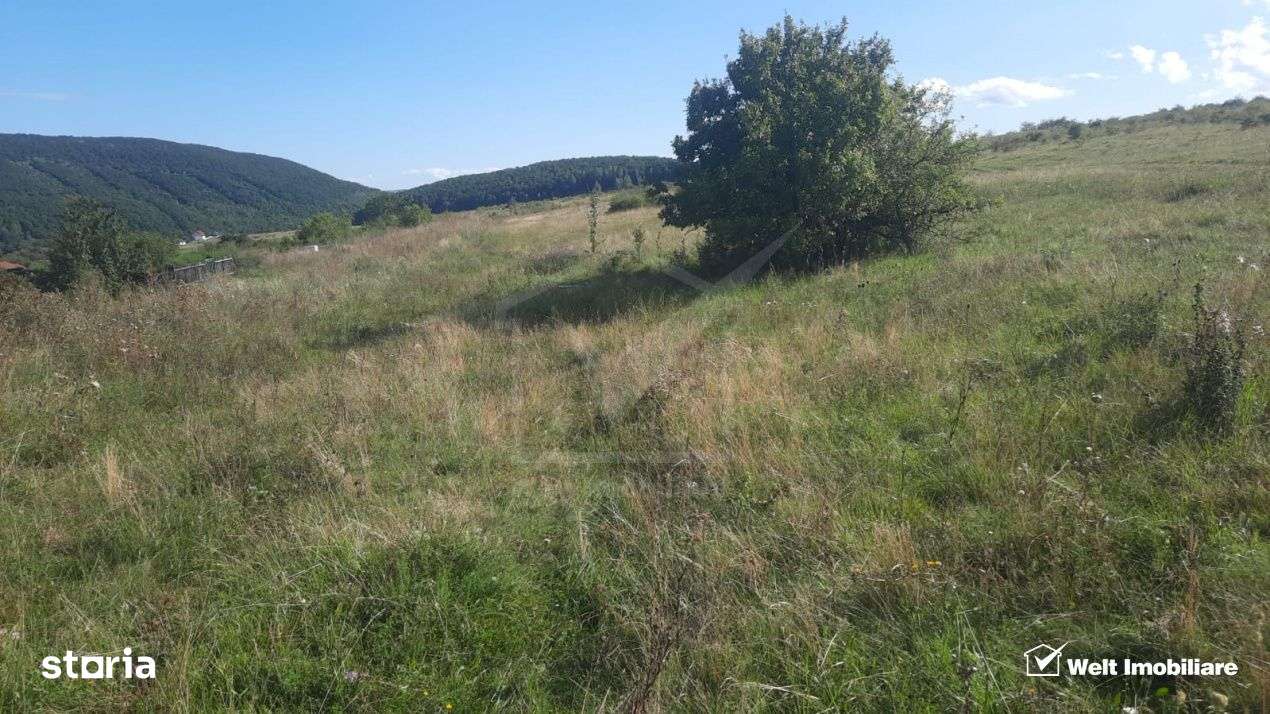 908 m², teren de vanzare - Cluj (judet), Salicea - 9917891 • www.storia.ro