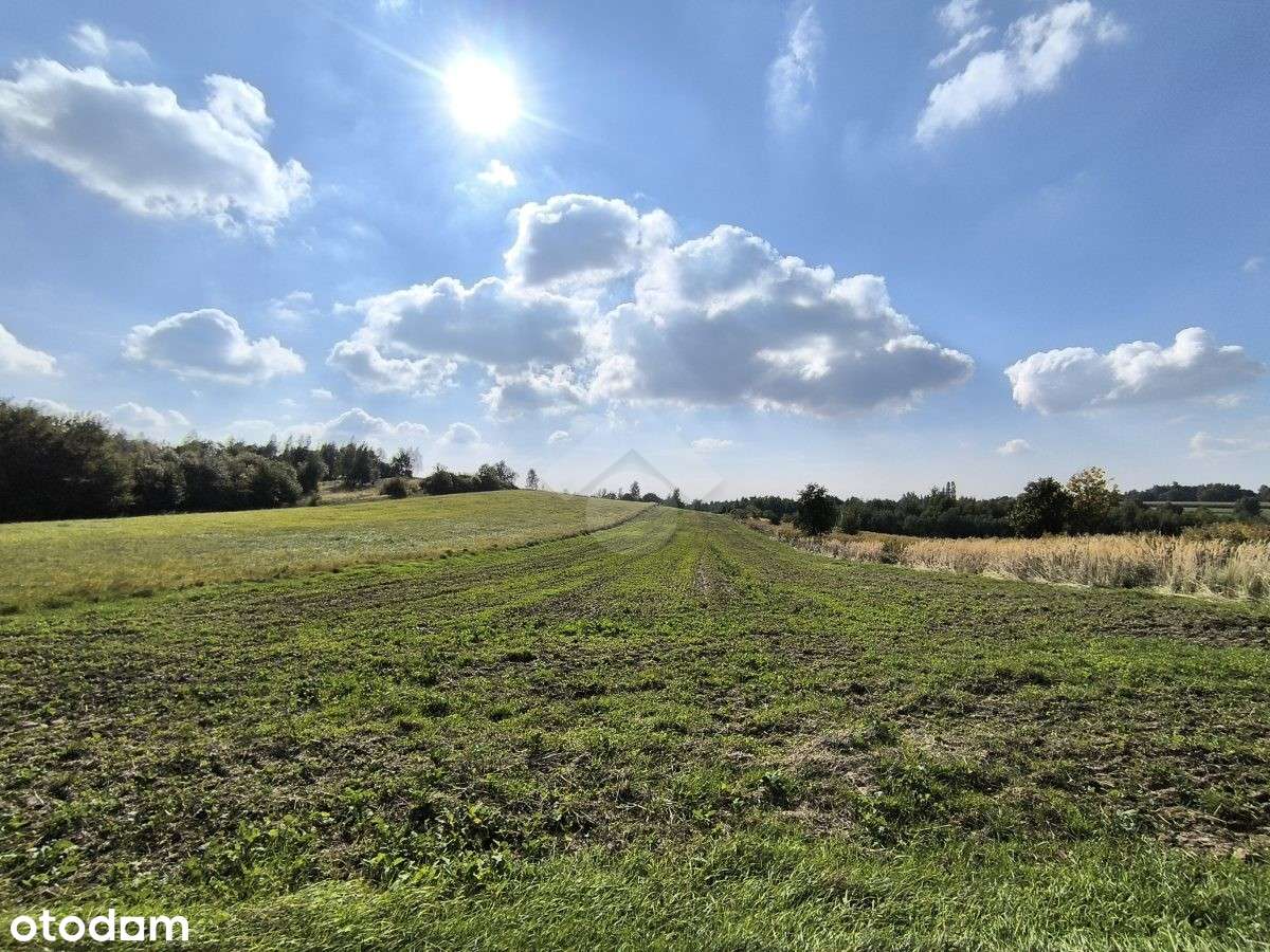 6 680 m², działka na sprzedaż - ul. Łąkowa, Wierzchowie - 67604904 ...