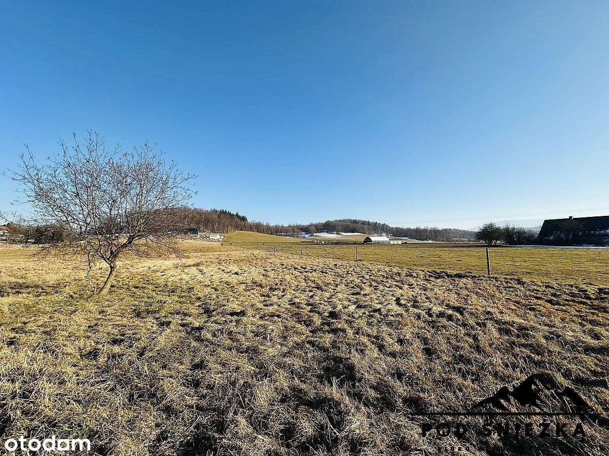 1 995 m², działka na sprzedaż - Łomnica, jeleniogórski, dolnośląskie ...