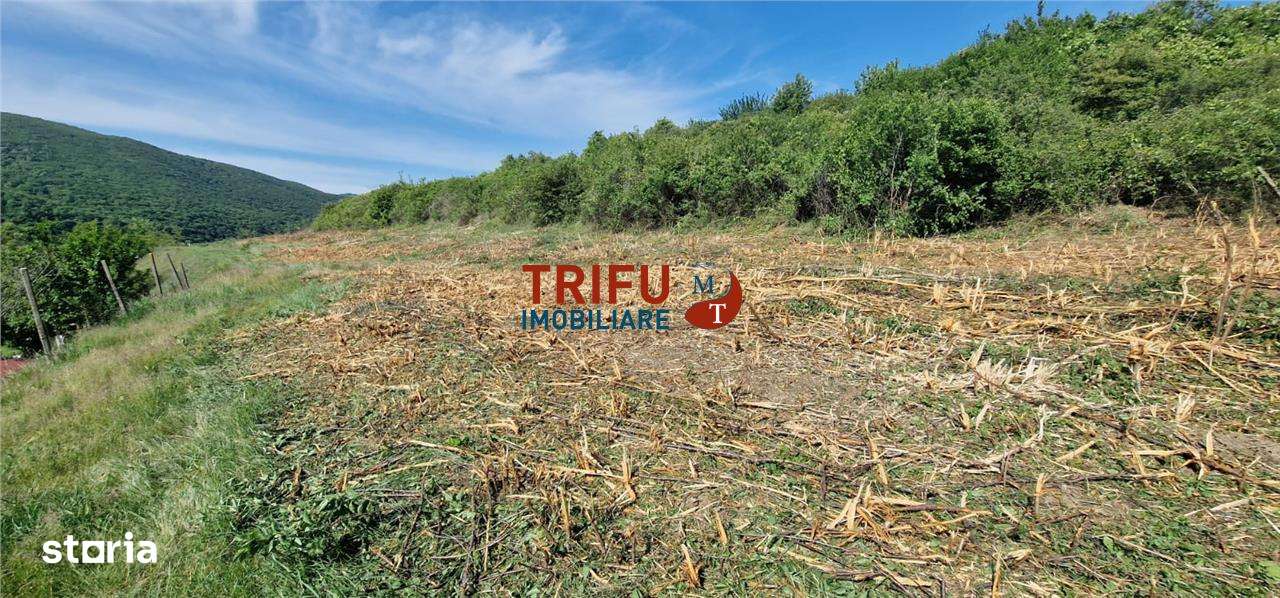 1 700 m², teren de vanzare - Alba (judet), Sard - 9557654 • www.storia.ro