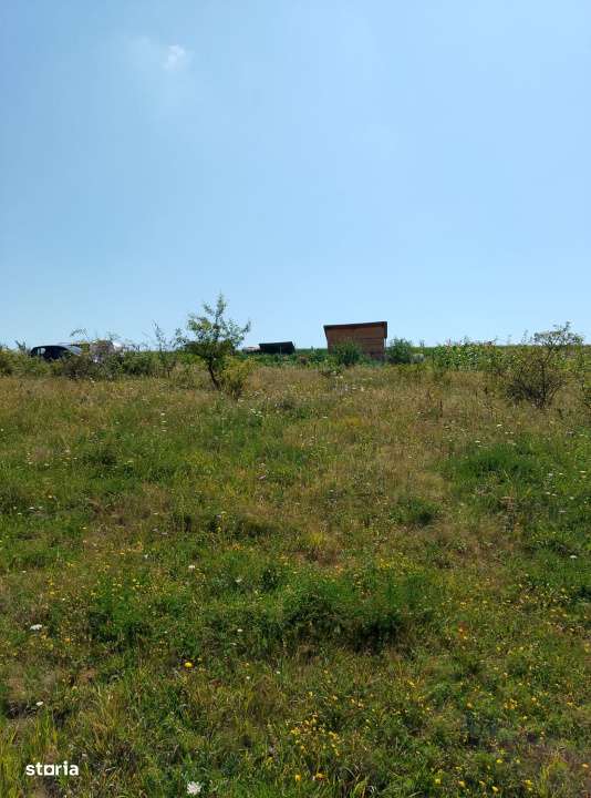 450 m², teren de vanzare - Cluj (judet), Chinteni - 9710384 • www.storia.ro