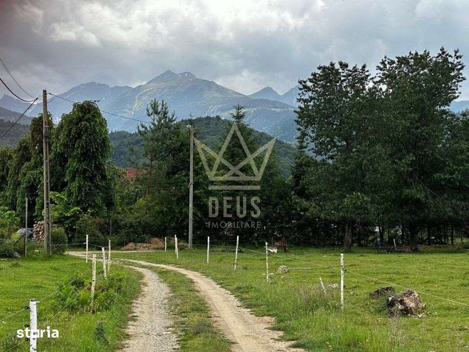 3 000 m², teren de vanzare - Brasov (judet), Statiunea Climaterica ...