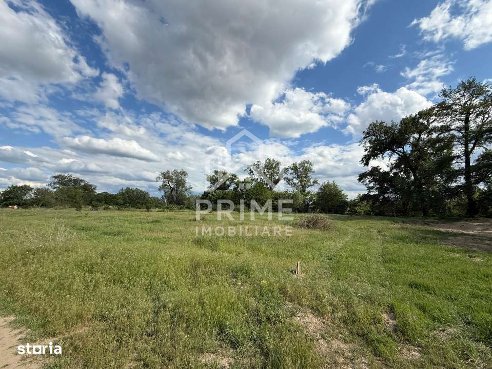 2 200 m², teren de vanzare - Alba (judet), Sebes - 9457717 • www.storia.ro