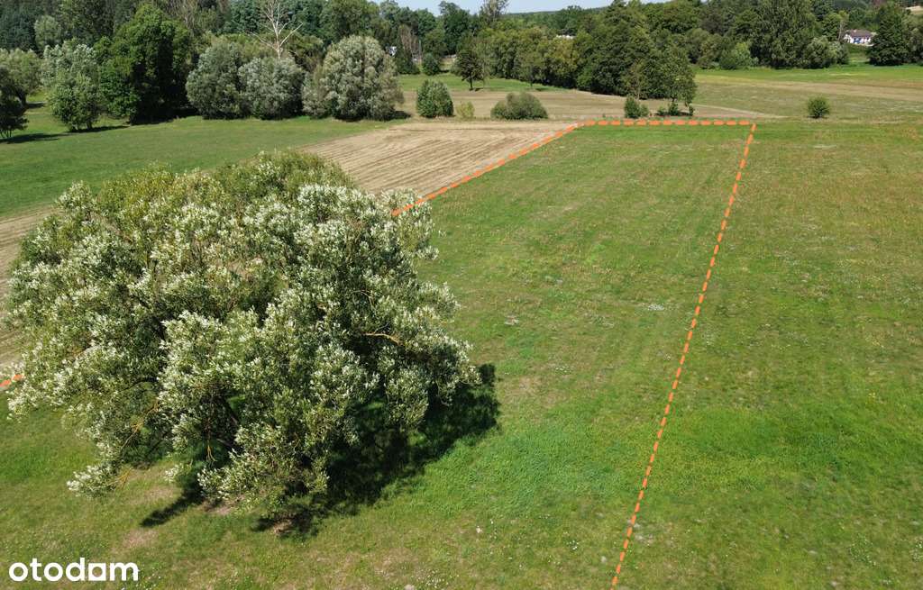 5 500 m², działka na sprzedaż - Lubocz, tomaszowski, łódzkie - 67192795 ...