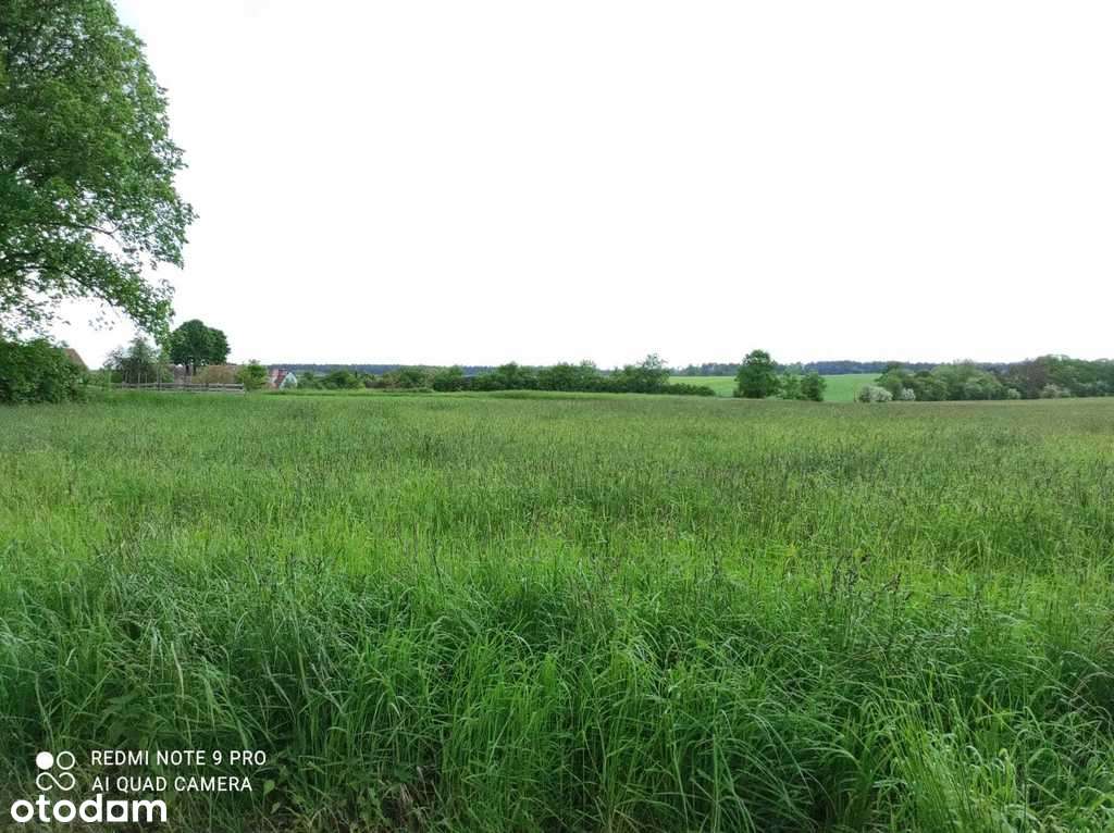 3 002 m², działka na sprzedaż - Świniary, słubicki, lubuskie - 65702946 ...