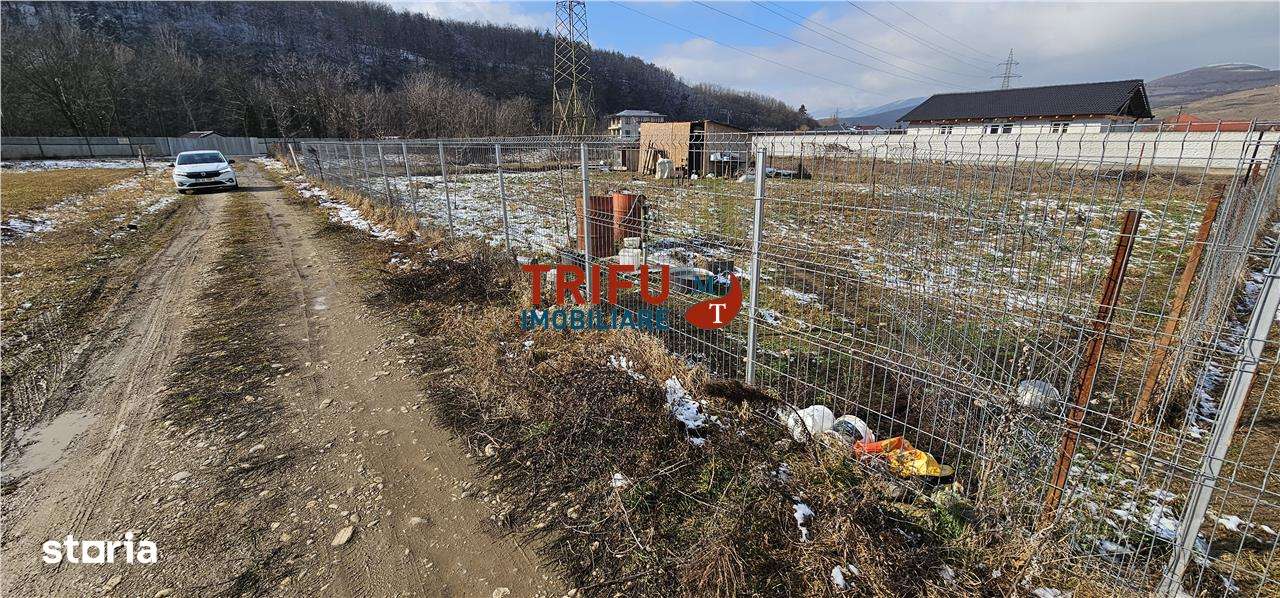 765 m², teren de vanzare - Alba (judet), Sard - 10109904 • www.storia.ro
