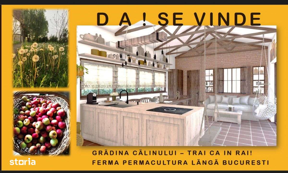 4 camere, casa de vanzare - Ilfov (judet), Strada Maidanului - 9251338 ...