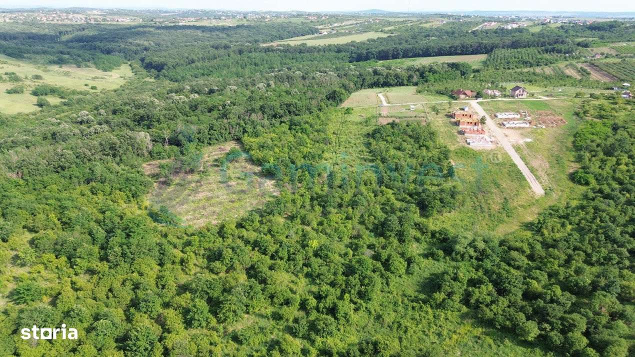5 637 m², teren de vanzare - Bihor (judet), Paleu - 9510439 • www.storia.ro