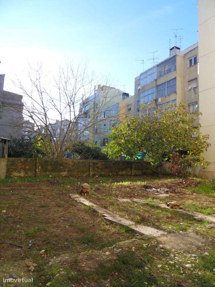 T0, apartamento para arrendar - Avenida Dom Dinis, Odivelas - 16536753 ...