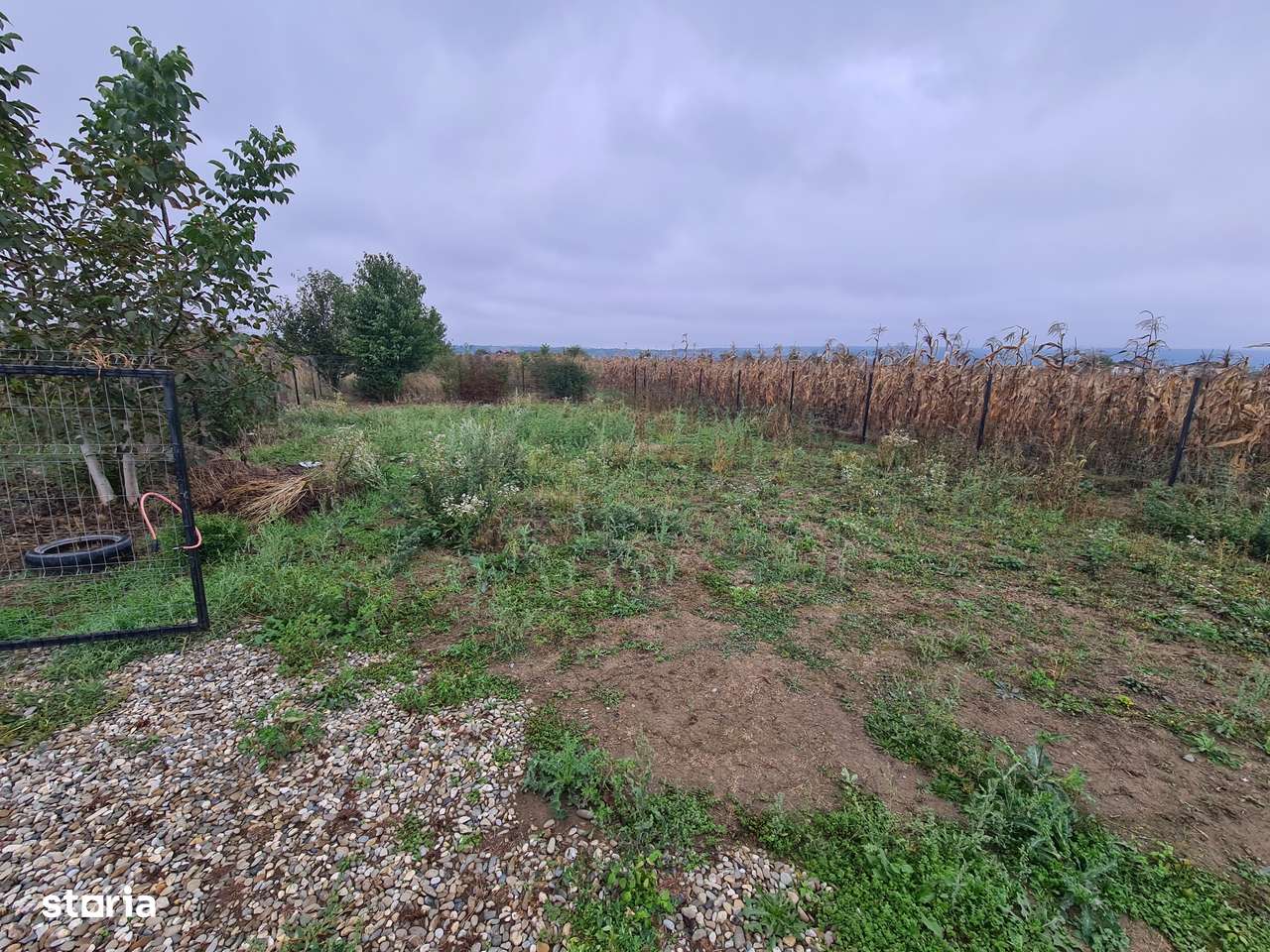 600 m², teren de vanzare - Bacau (judet), Bacau - 9662987 • www.storia.ro