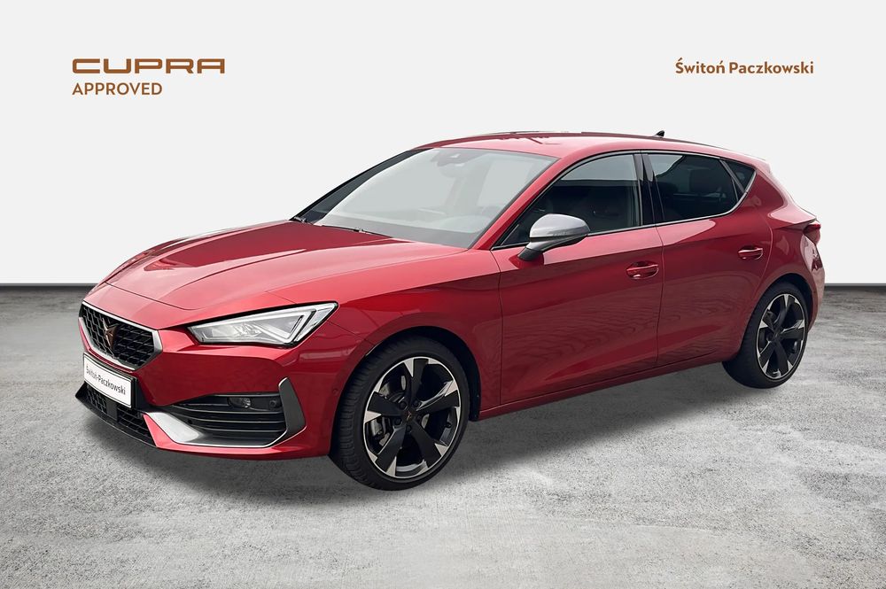 Samochody używane - Świtoń-Paczkowski Zielona Góra