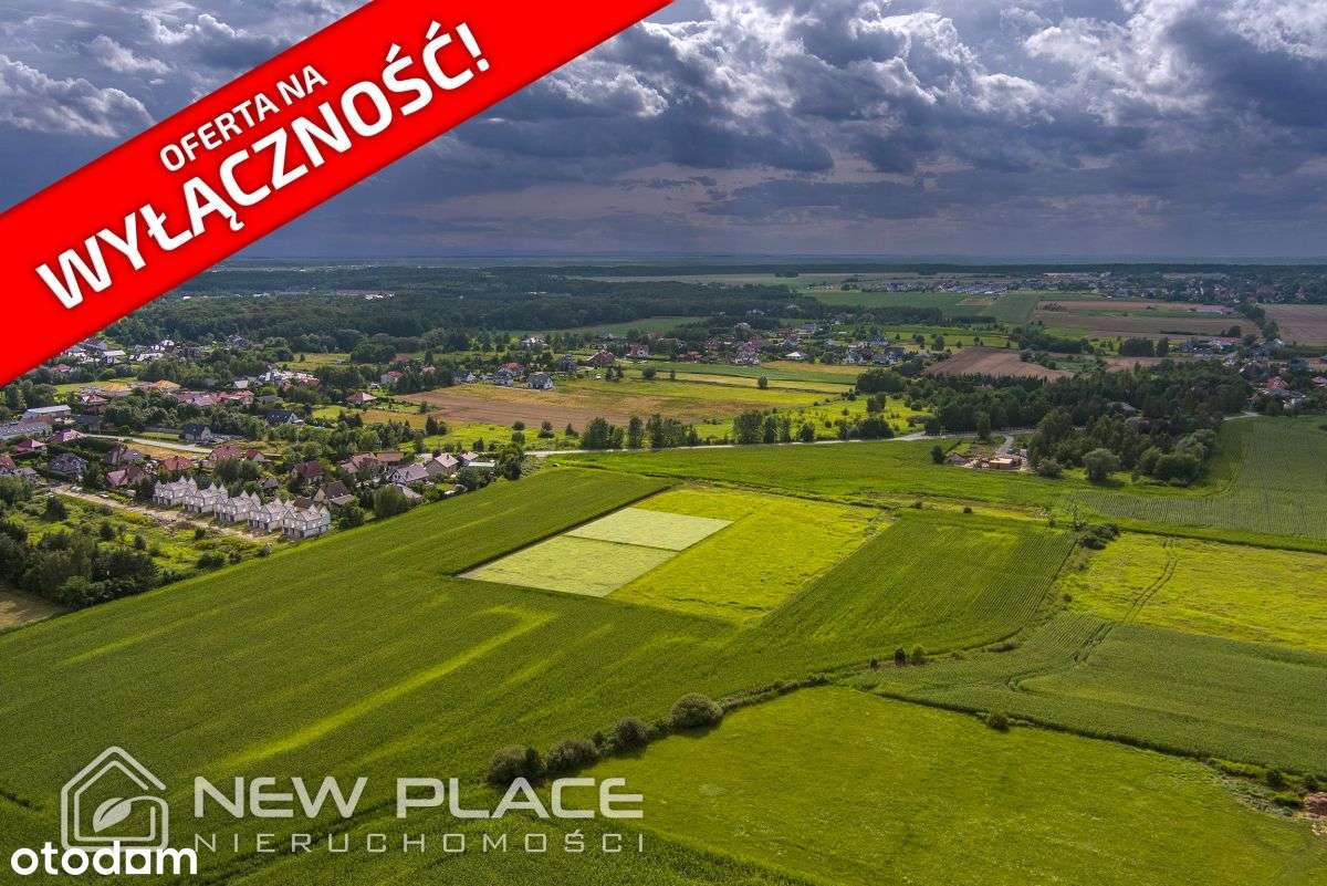 3 000 m², działka na sprzedaż - ul. Ogrodowa, Wilkszyn - 67604611 • www ...