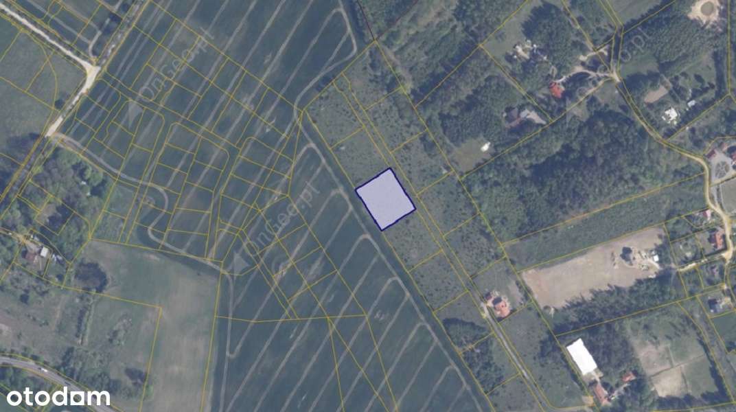 3 006 m², działka na sprzedaż - Warcz, gdański, pomorskie - 67586086 ...