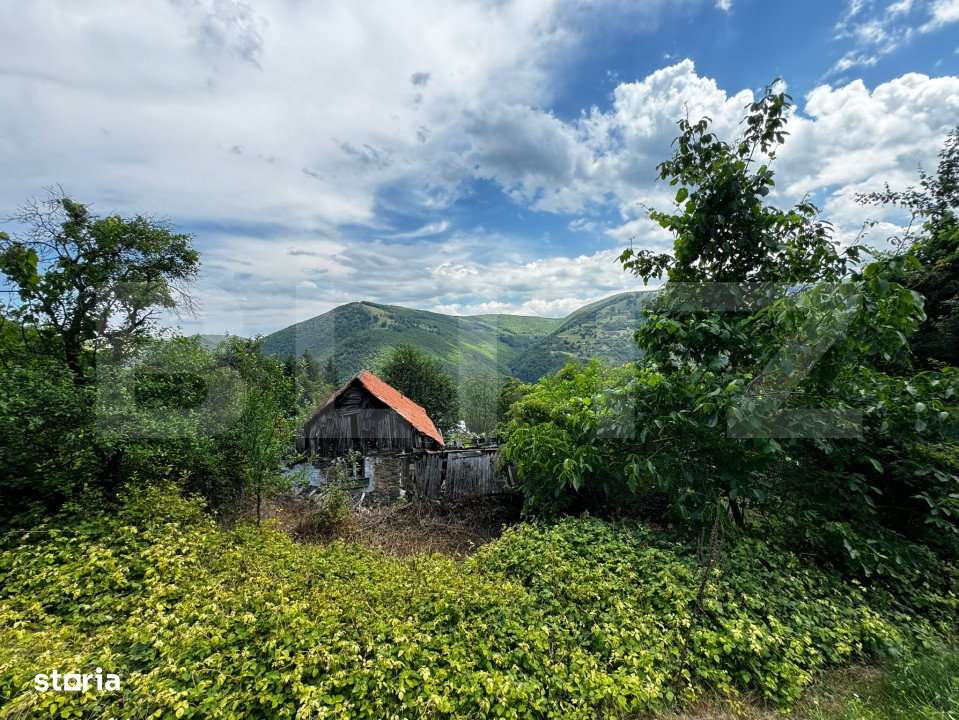 2 camere, casa de vanzare - Alba (judet), Capalna - 8575406 • www.storia.ro