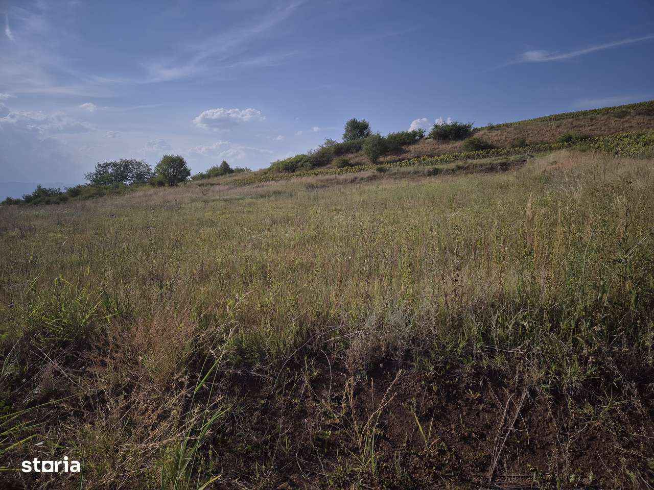 827 m², teren de vanzare - Alba (judet), Ciugud - 10087822 • www.storia.ro