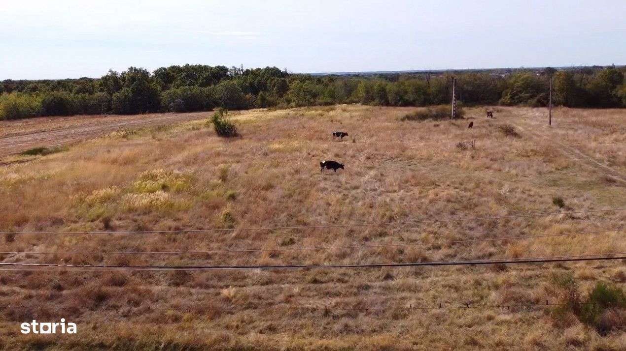 500 m², teren de vanzare - Arges (judet), Strada Tirdestiu Mic ...