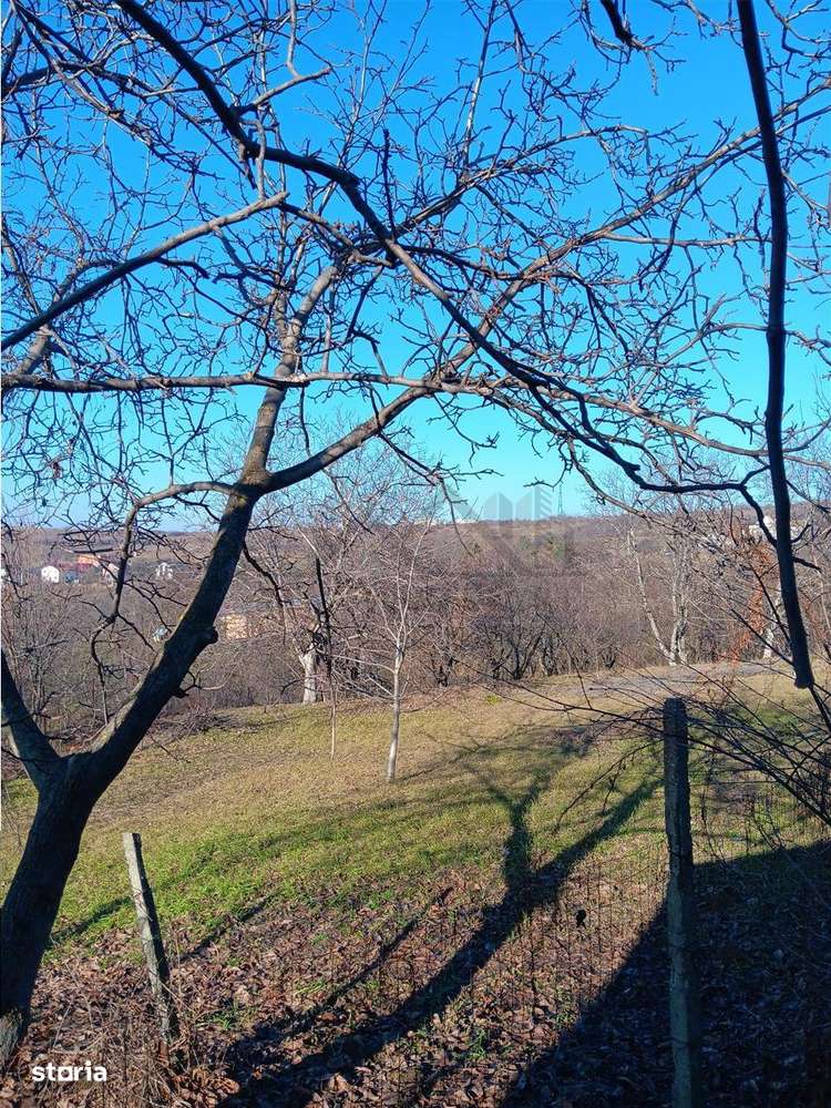 1 500 m², teren de vanzare - Iasi (judet), Bucium - 10052329 • www ...