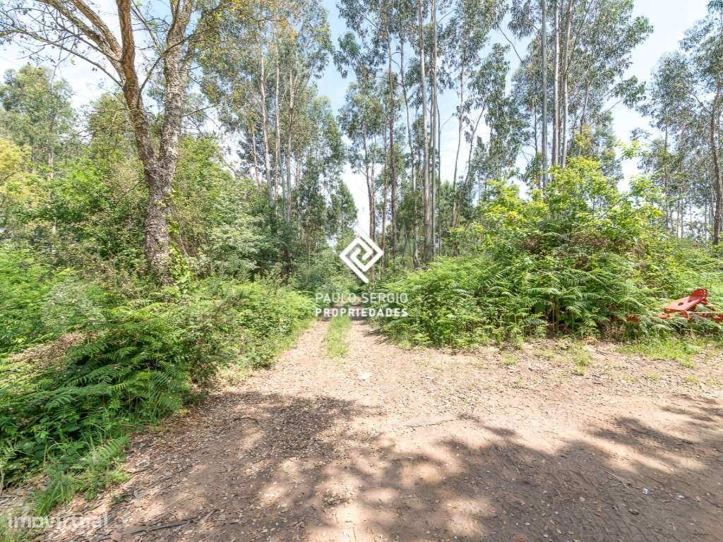 11 000 m², terreno para comprar - Grijó e Sermonde, Vila Nova de Gaia ...