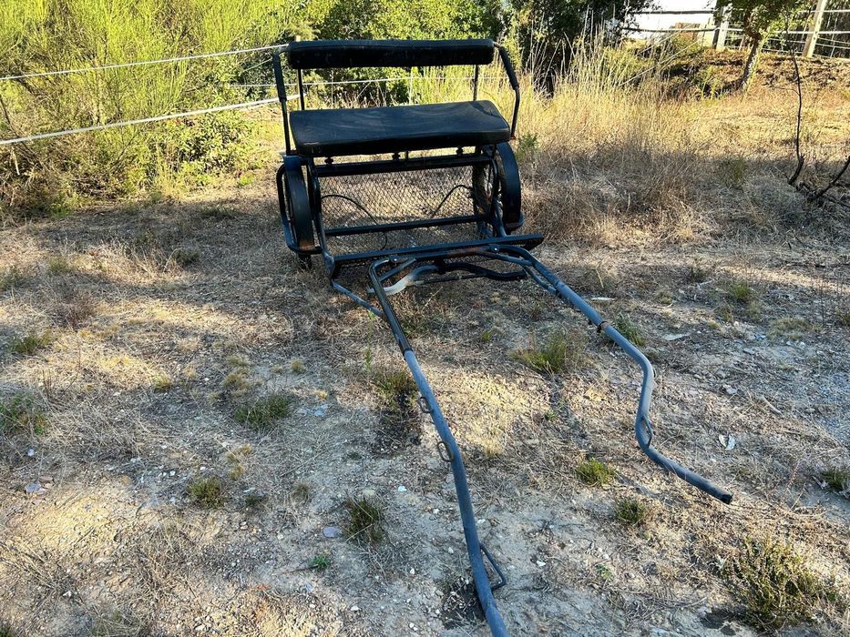 Charrete singular Cavalo Graça • OLX Portugal