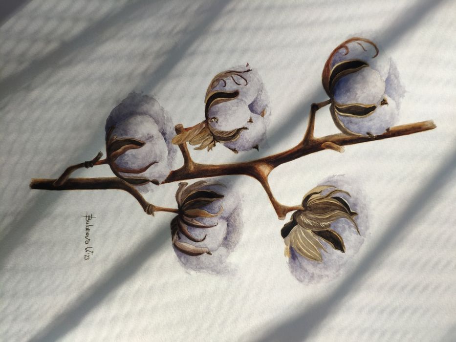 Картина аквареллю Гілочка бавовни 700 грн Живопись Одесса на Olx