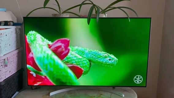 LG Oled 55 b7 , hdr , 120hz: 13 200 грн. - Телевізори Яворів на Olx