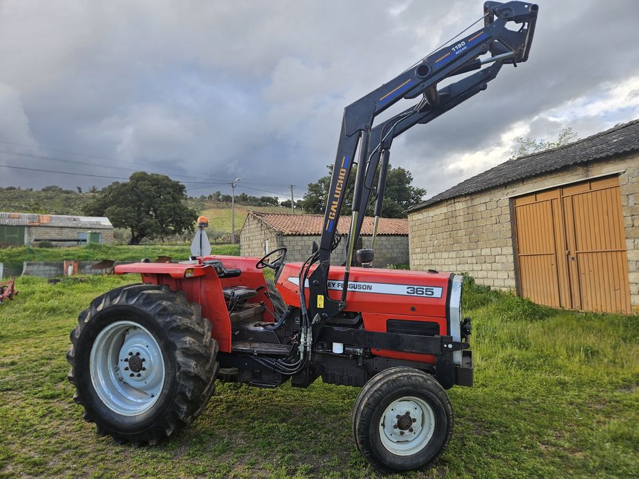 Tractor massey ferguson 365 Miranda do Douro • OLX.pt