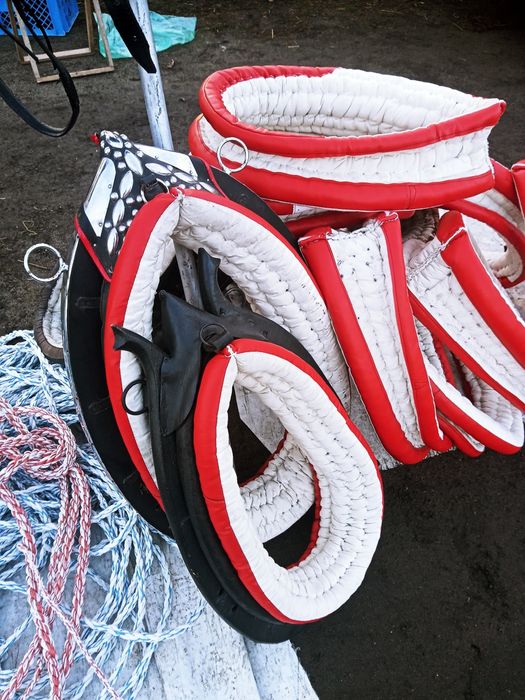 Homonto na konia uprząż Chmielnik • OLX.pl