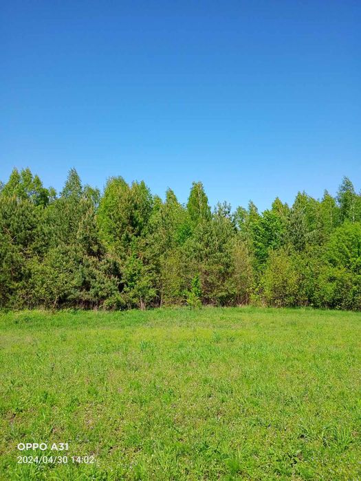 Продам земельну ділянку (пай) площею 6 га: 12 500 $ - Продаж землі ...