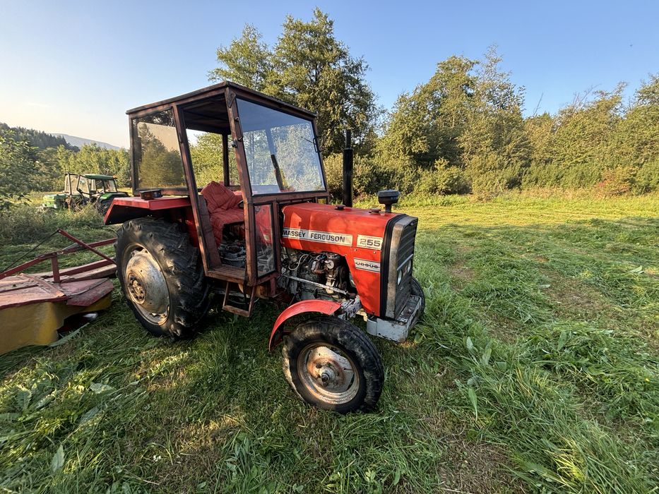 Massey Ferguson MF255 orginal Jordanów • OLX.pl