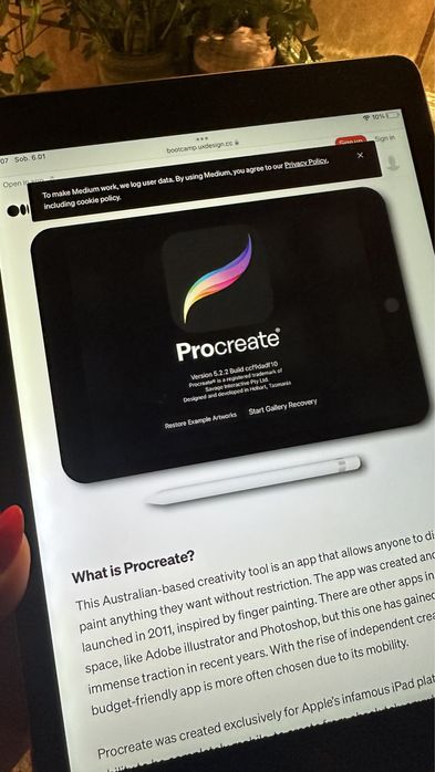 Tablet iPad Apple - TOUCH ID - PROCREATE - super stan - wysoki iOS ...