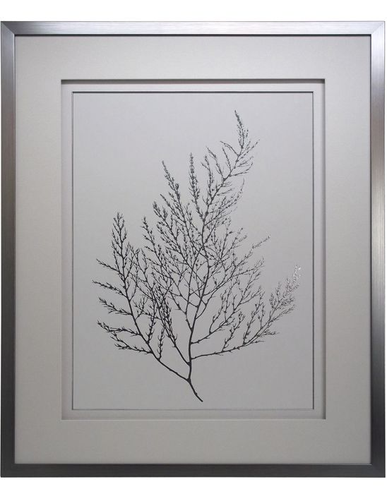 Almi Decor obraz silver srebrny natura liść Warszawa Śródmieście • OLX.pl