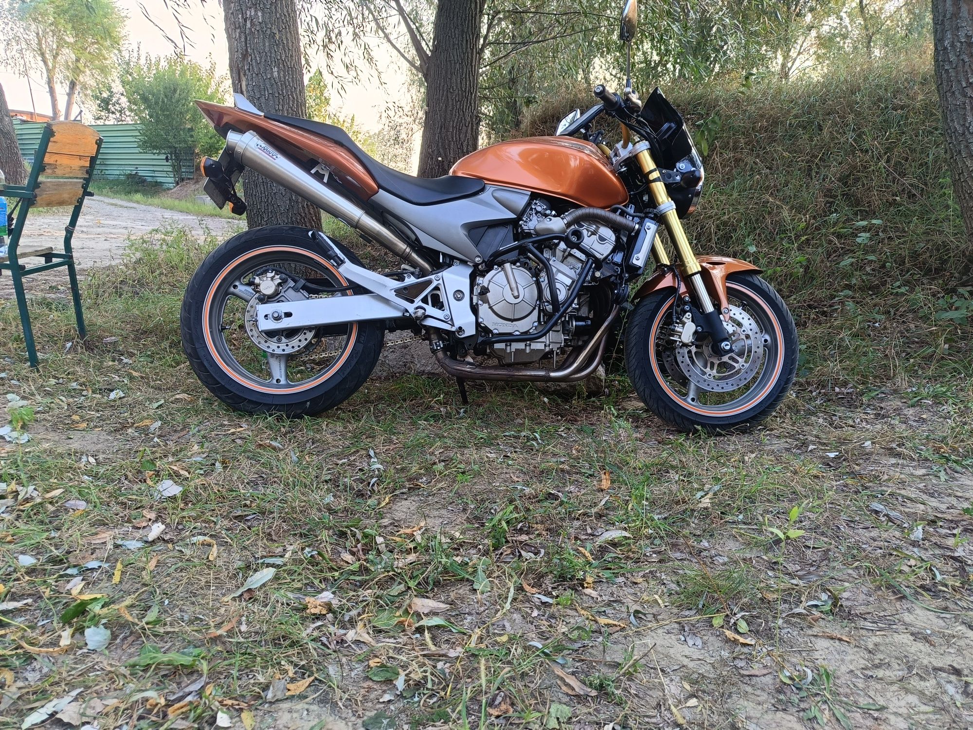 Olx honda hornet store
