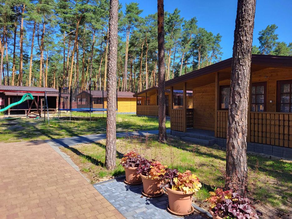 Domki letniskowe Sielpia Ośrodek Wczasowy "Sosenka" Sielpia Wielka • OLX.pl