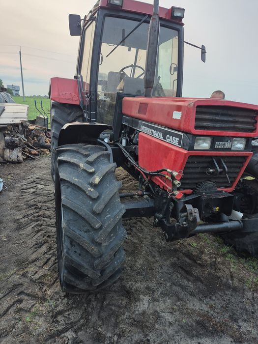 Case 956 XL 1986 R Mokre • OLX.pl