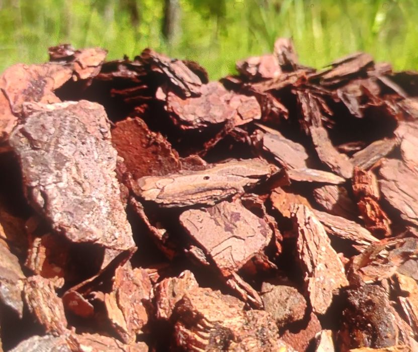 Декоративна кора мульча кора соснова для декорування клумб: 60 грн ...