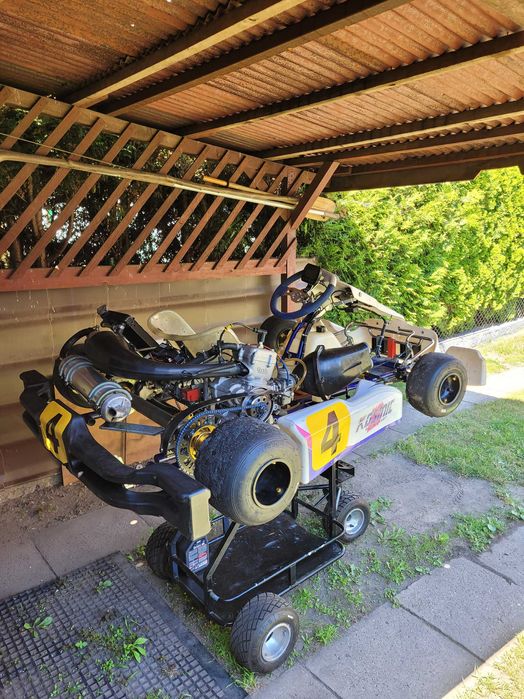 Gokart Kosmic Vortex ROK 125 Senior Olsztynek • OLX.pl