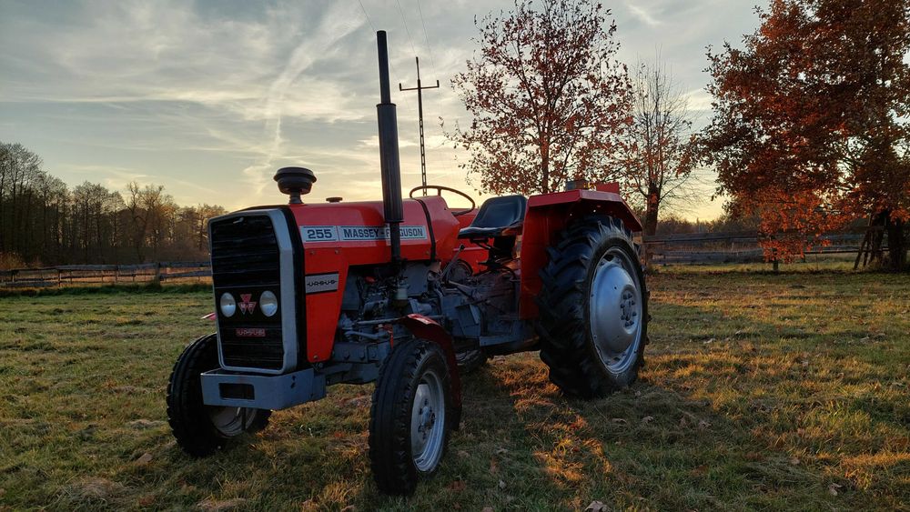 Massey Ferguson MF 255 Rok 1988 Po Remoncie Zadbany URSUS 3512 MF 235 ...