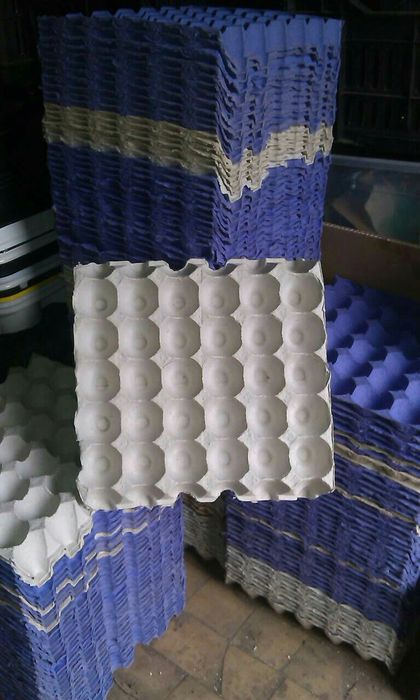 Евро лоток яичный картонный глубокий лоток: 1 грн. - Господарський ...