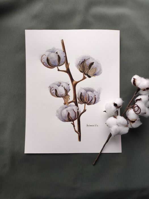 Картина аквареллю Гілочка бавовни 700 грн Живопись Одесса на Olx