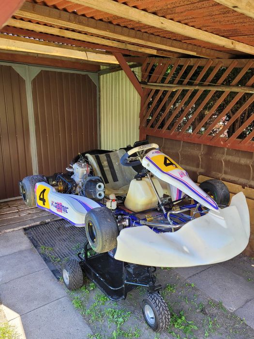 Gokart Kosmic Vortex ROK 125 Senior Olsztynek • OLX.pl