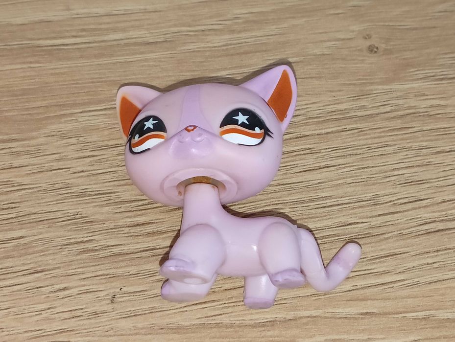 Lps pop littlest pet shop shorthair kot #933 org oryginalny Chynów • OLX.pl