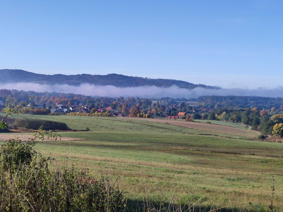 Okno na Raj Domki Całoroczne Kudowa-Zdrój • OLX.pl