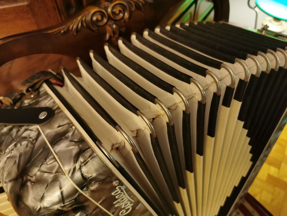 Akordeon Weltmeister Goldea 80 basów 3-chórowy z futerałem Miękinia ...