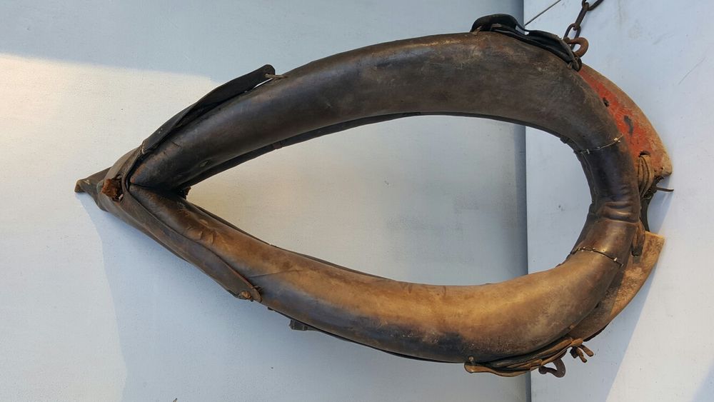 Homonto Dla Konia - OLX.pl