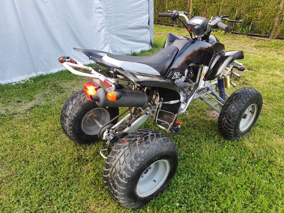 Bashan 250 quad 250 niski przebieg 270 km! Mozliwy transport Skała • OLX.pl