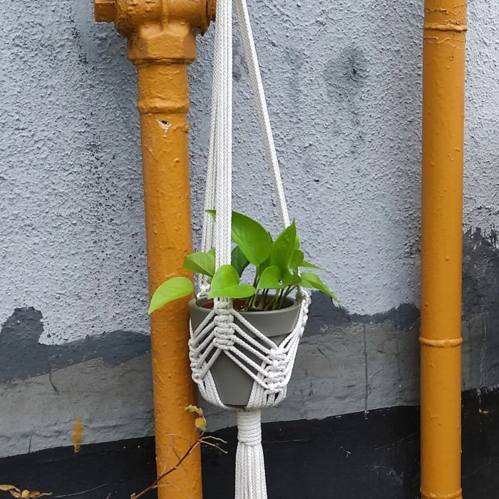 Кашпо макраме для квітів 175 грн Кімнатні рослини Харків на Olx