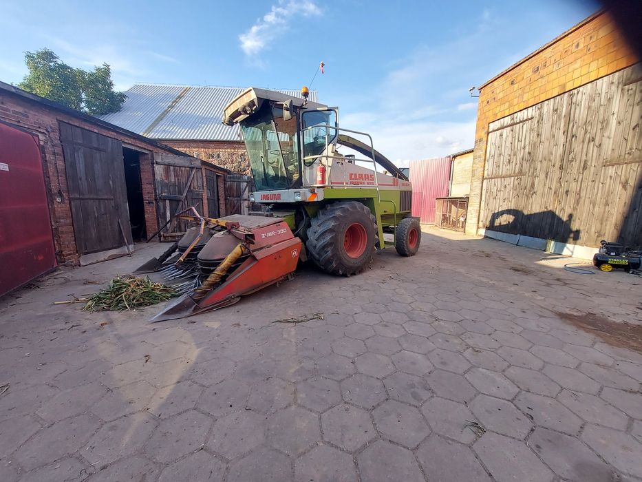 Sieczkarnia do kukurydzy Class Jaguar 695 Mega Piaski • OLX.pl