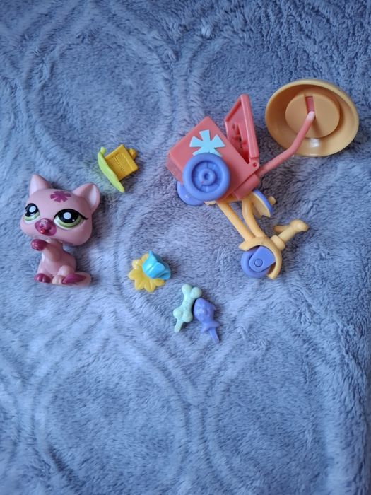 Lps - Littlest Pet Shop, kotek, lodziarnia, rower, parasolka Sztutowo ...