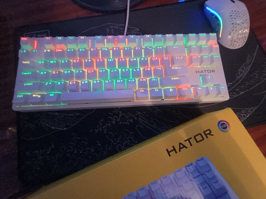 Клавиатура hator rockfall mecha 2 TKL: 1 200 грн. - Периферийные устройства Ярунь на Olx